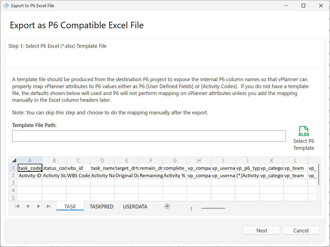 6.3.3. P6 XLSX File